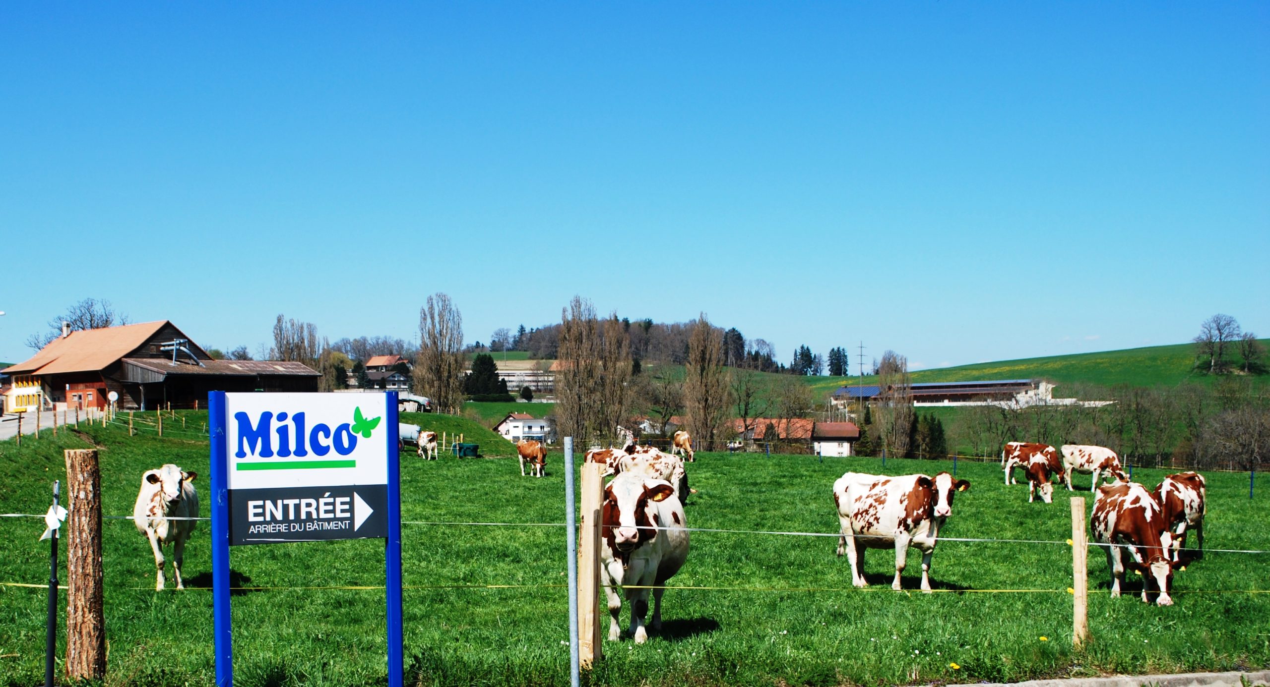 Milco SA - Varia Swiss RealTech